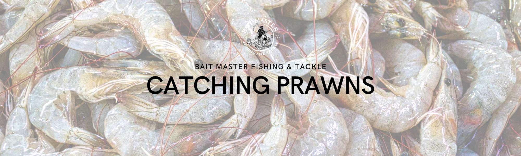 Beginner’s guide to catching prawns – Bait Master Fishing and Tackle
