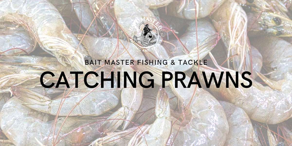 Beginner’s guide to catching prawns — Bait Master Fishing and Tackle