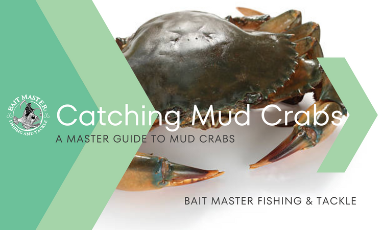 Catching Mud Crabs: A Master Guide to Mud Crabs – Bait Master Fishing and Tackle