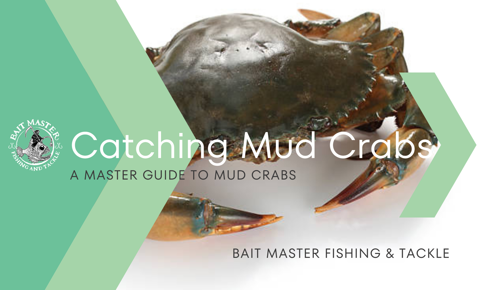Catching Mud Crabs: A Master Guide to Mud Crabs — Bait Master Fishing and Tackle