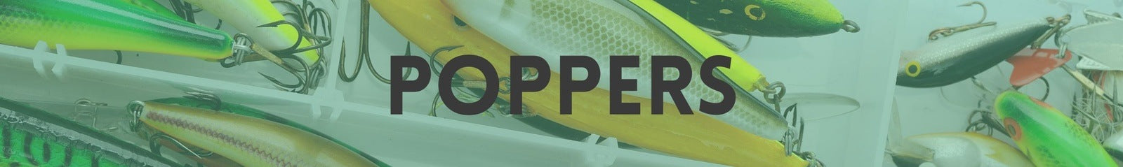 Topwater Excitement with Poppers | Bait Master Fishing and Tackle