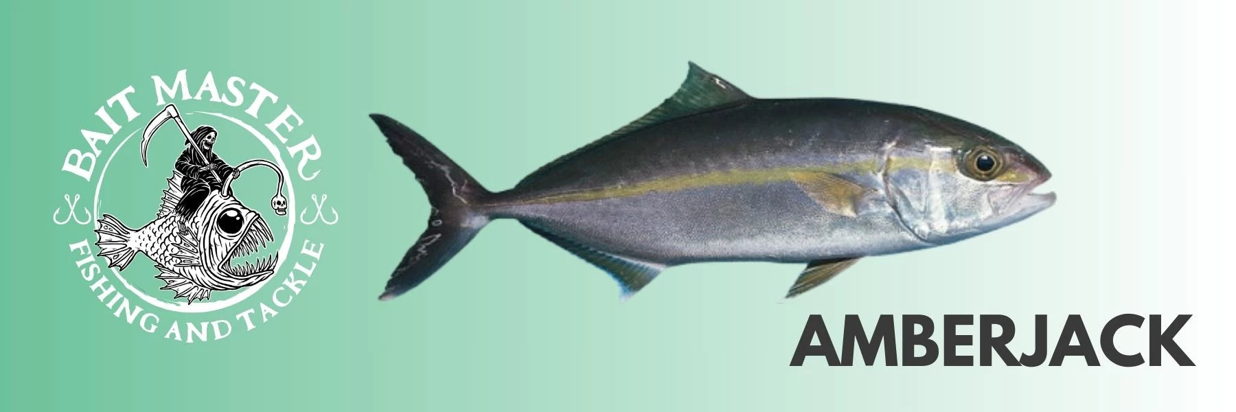 Kingfish Amberjack Lures – Bait Master Fishing and Tackle