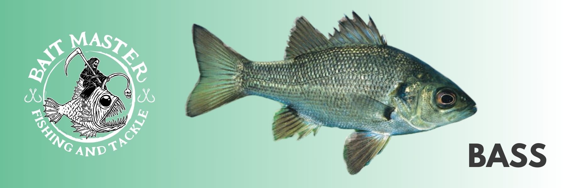 Bass Lures - Fishing Tackle at Bait Master Fishing & Tackle — Bait ...