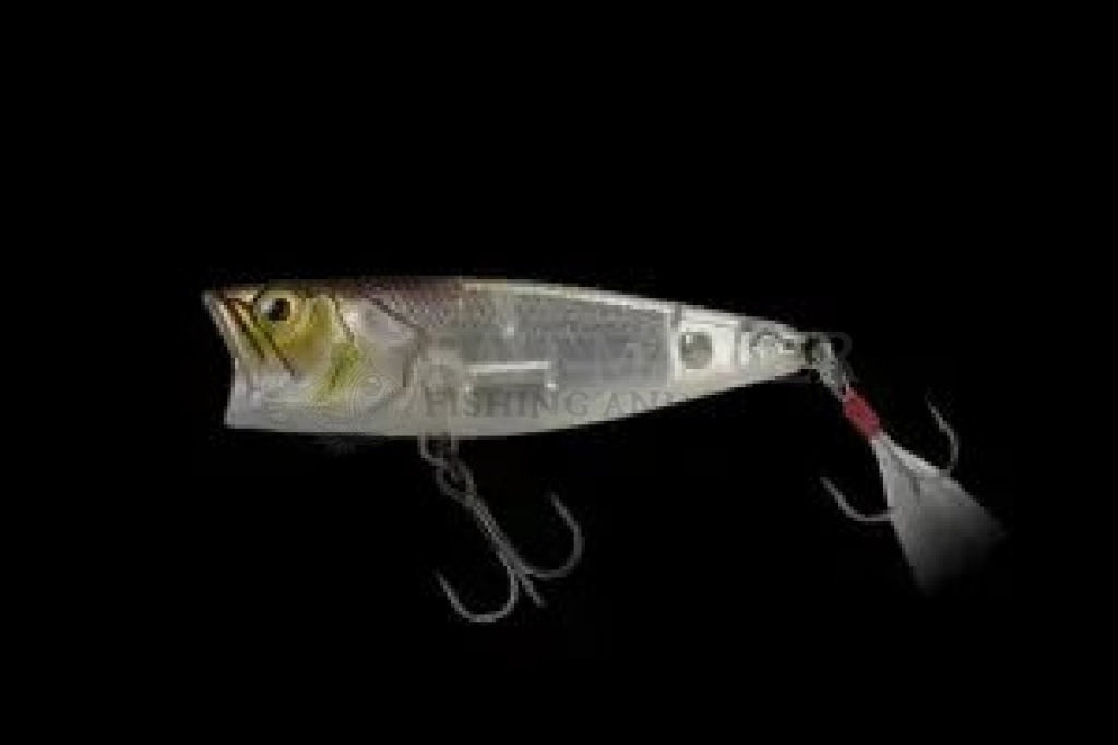 Jackall SK Pop Grande Popper Fishing Lure — Bait Master Fishing and Tackle