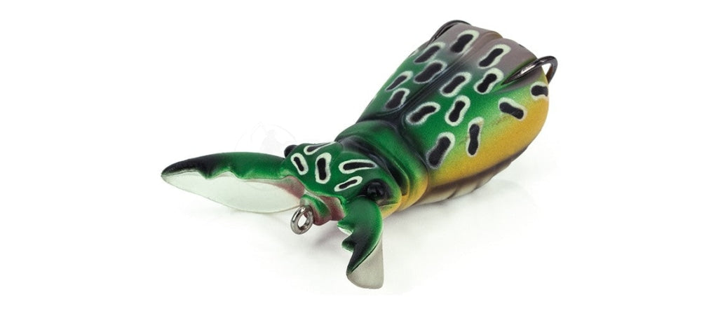 Molix Supernato Beetle Baby 50mm 5.5g Topwater Lure — Bait Master ...